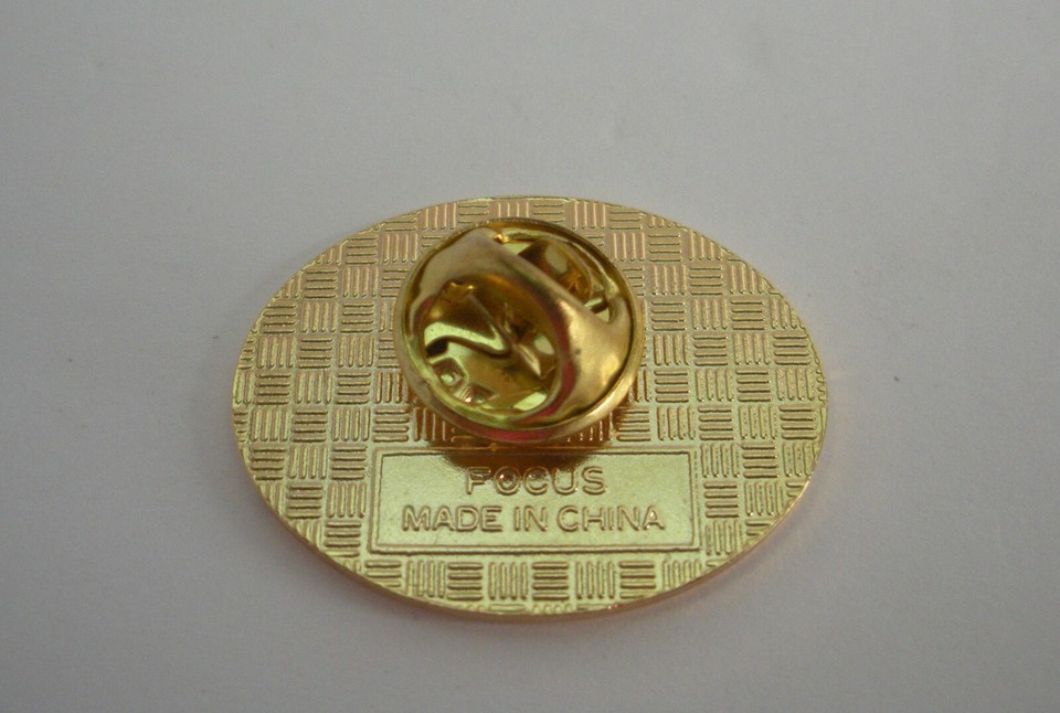 Crystal Cathedral Lapel Pin CA Catholic Focus Oval Travel Collector | eBay