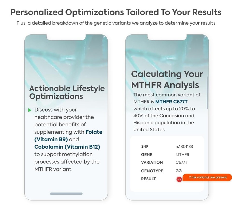Methylation Genes Test Kit Includes MTHFR Analysis | Analyzes 12 ...