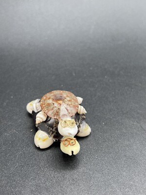 CUTEST Tiny Turtles With Glasses And Googly Eyes Seashell Cowrie Cowry ...