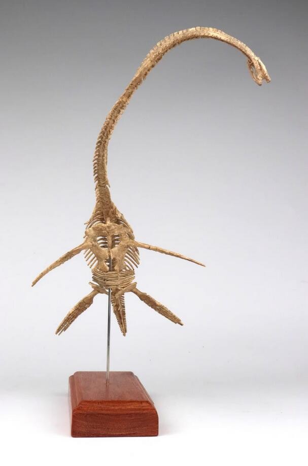 Elasmosaurus Skull Dinosaur Statue Skeleton Model Animal Model Display ...