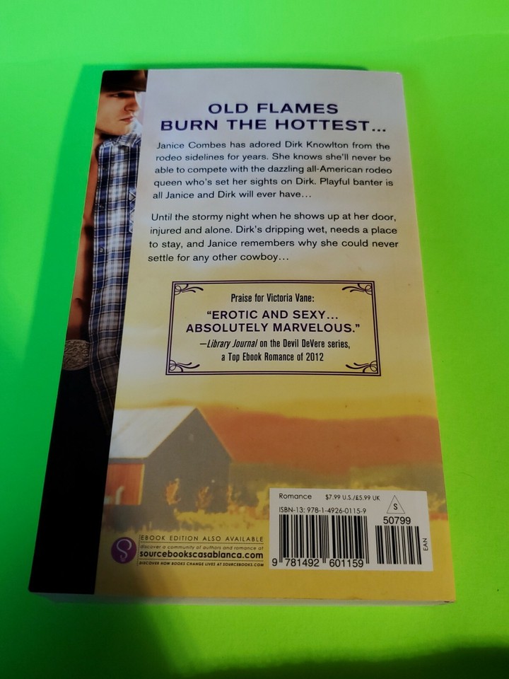 Hot Cowboy Nights Ser.: Rough Rider by Victoria Vane (2015, Mass Market ...