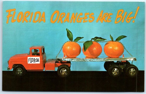 Postcard - Florida Oranges Are Big! - Florida | eBay