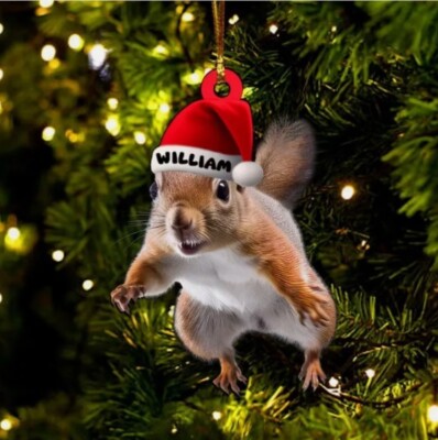 CHRISTMAS VACATION SQUIRREL Ornament,Funny Christmas Tree Ornament,wood ...
