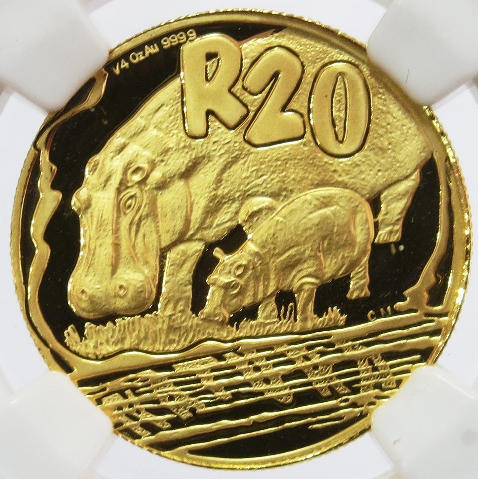 2005 GOLD SOUTH AFRICA 20 RAND NATURA 1/4 OZ HIPPOPOTAMUS COIN NGC ...
