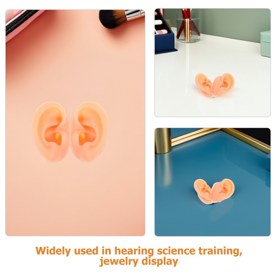 2 Pair Earrings Jewelry Display Model Human Anatomy Fake Silicone ...