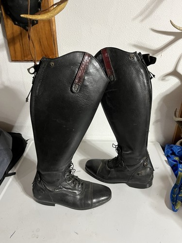 Donatello Tredstep The Renaissance Collection English Riding Field ...