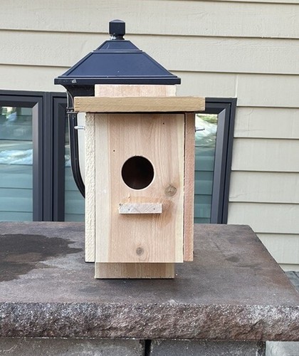 House Sparrow-Starling Nest Box Trap | eBay