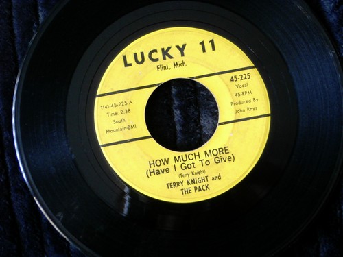 GARAGE~ TERRY KNIGHT AND THE PACK~ HOW MUCH MORE!~ GREAT SOUND~ LUCKY ...