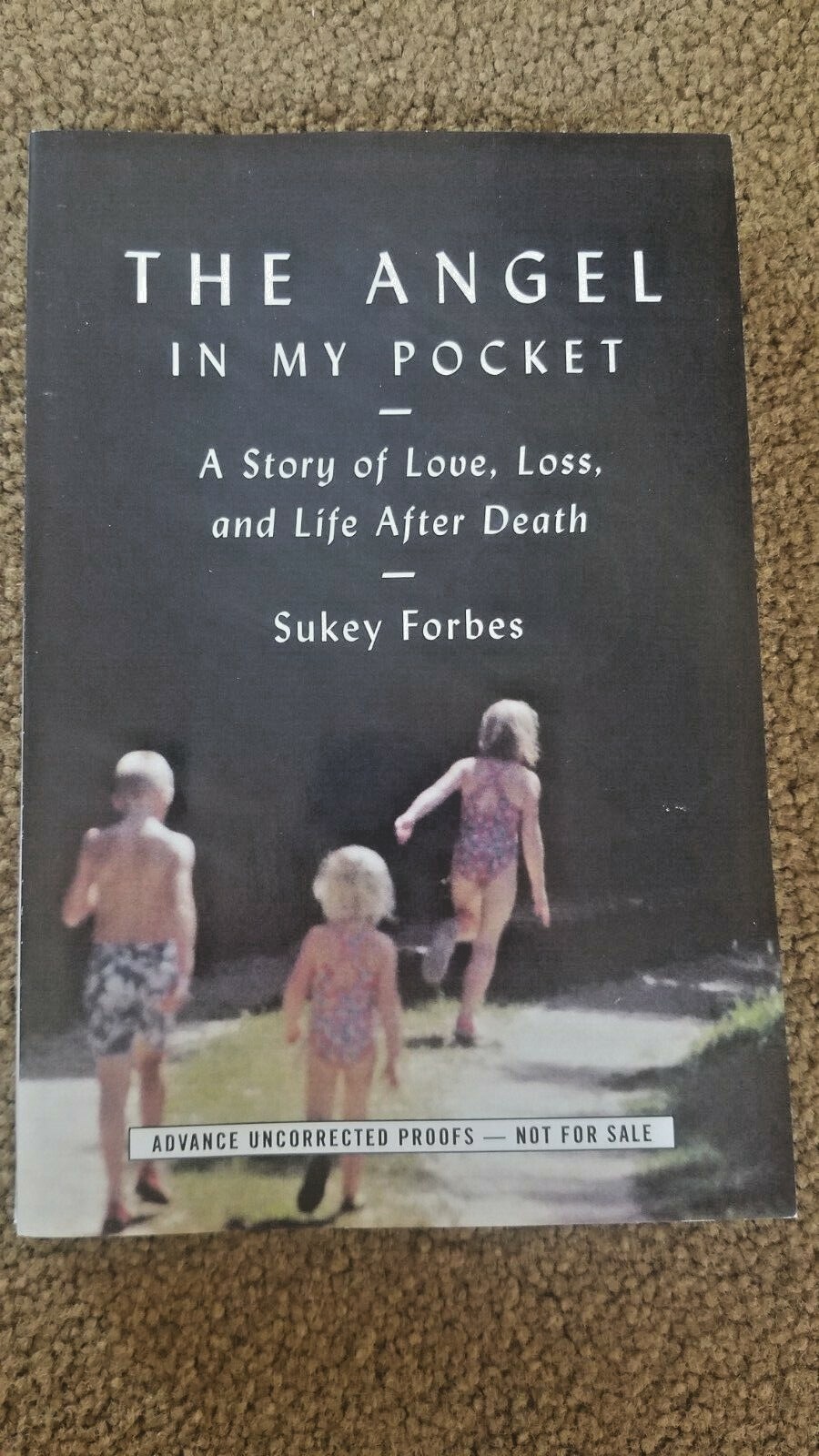 The Angel in My Pocket : A Story of Love, Loss, and Life after Death by ...