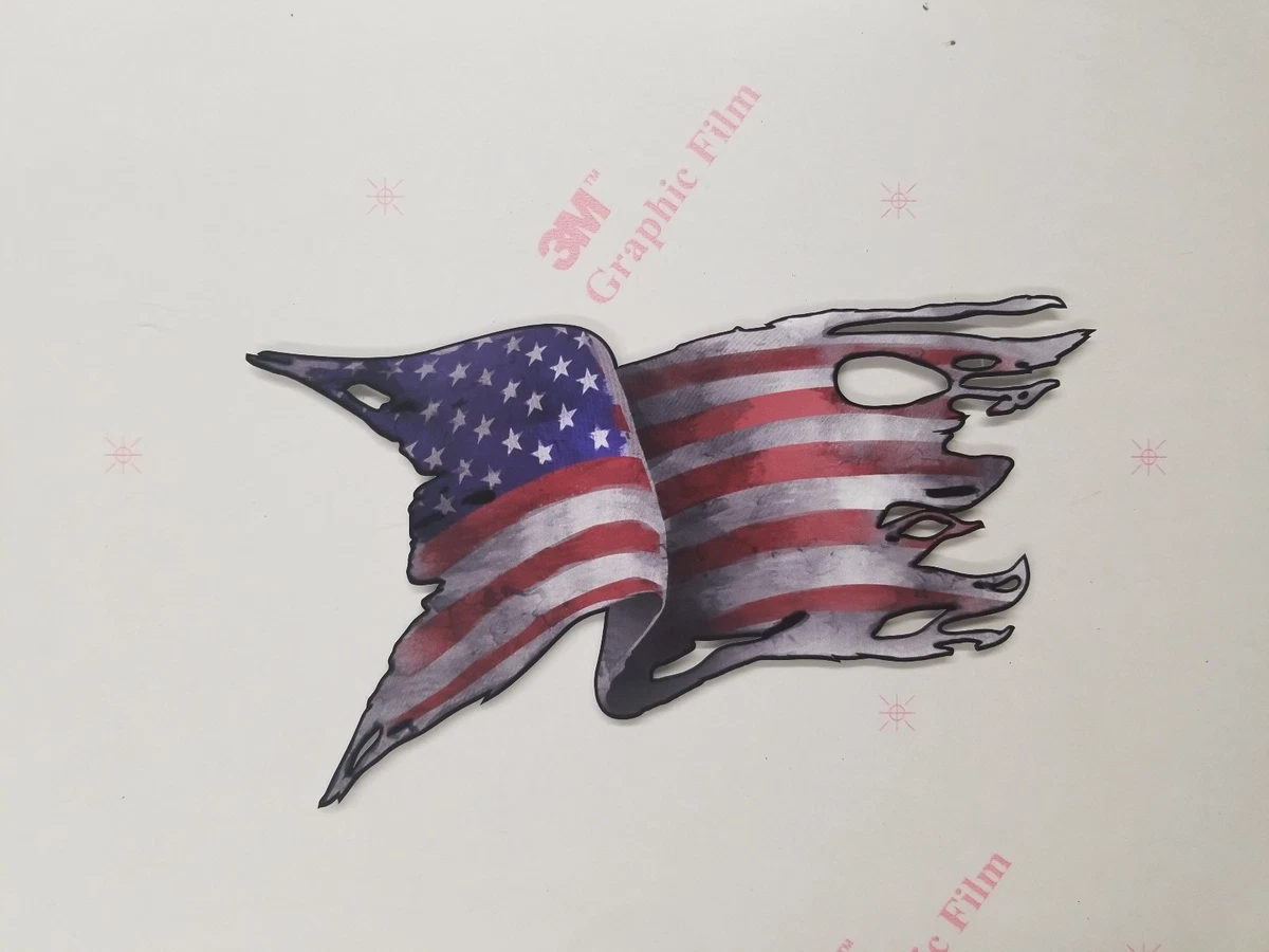 Ripped Flag Drawing