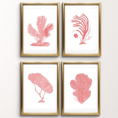 Set of 4 Coral ILLUSTRATION ART PRINTS Wall picture Home - A4, unframed ...