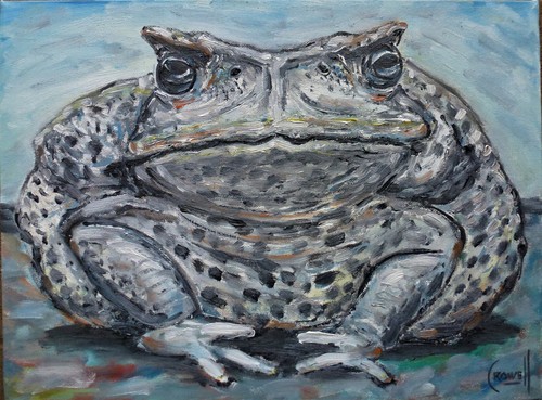 KING TOAD frog amphibian oil painting canvas art 12x16 original signed ...