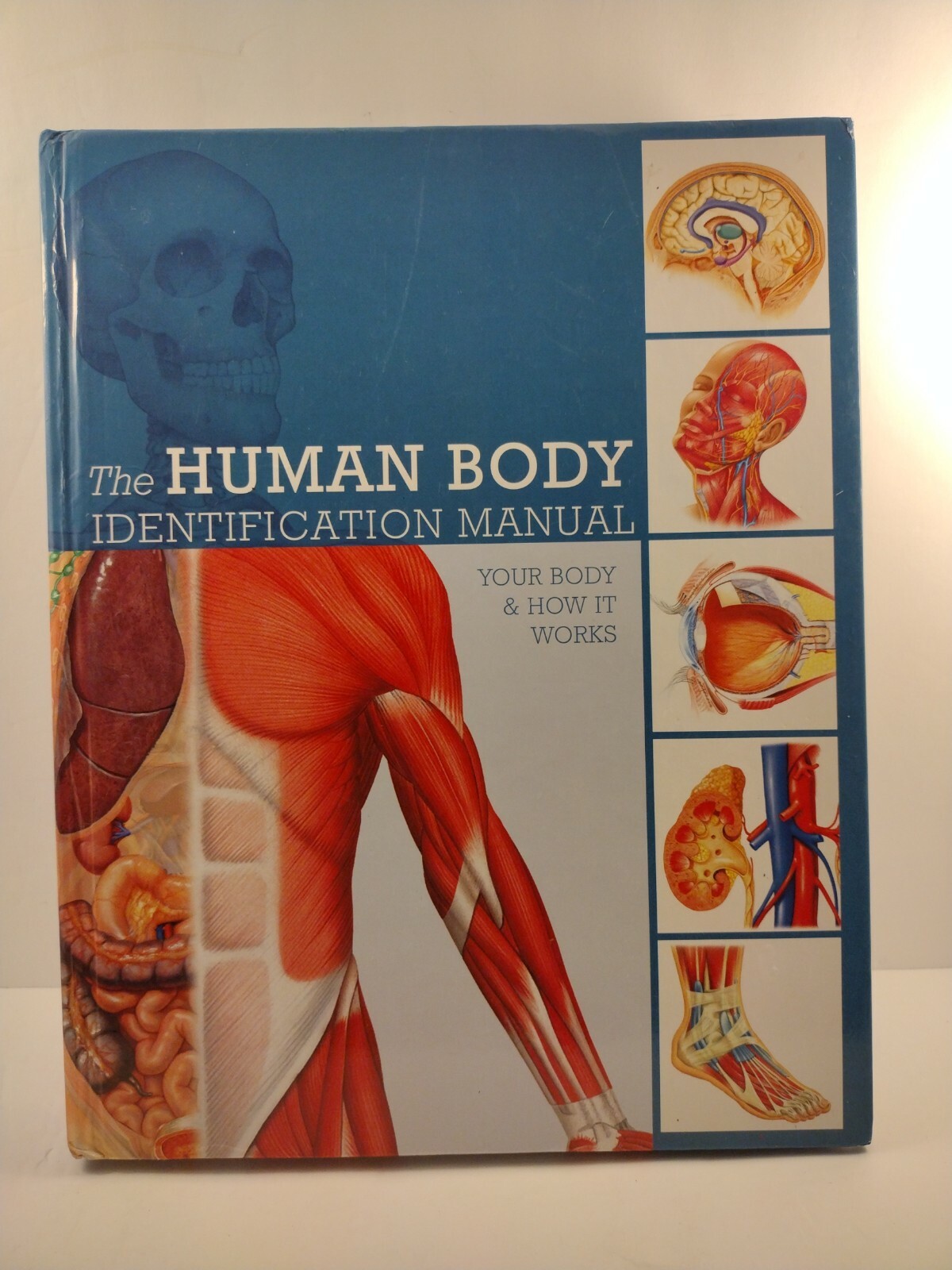 HUMAN BODY IDENTIFICATION MANUAL: YOUR BODY AND HOW IT By Professor Ken ...