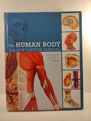 HUMAN BODY IDENTIFICATION MANUAL: YOUR BODY AND HOW IT By Professor Ken ...