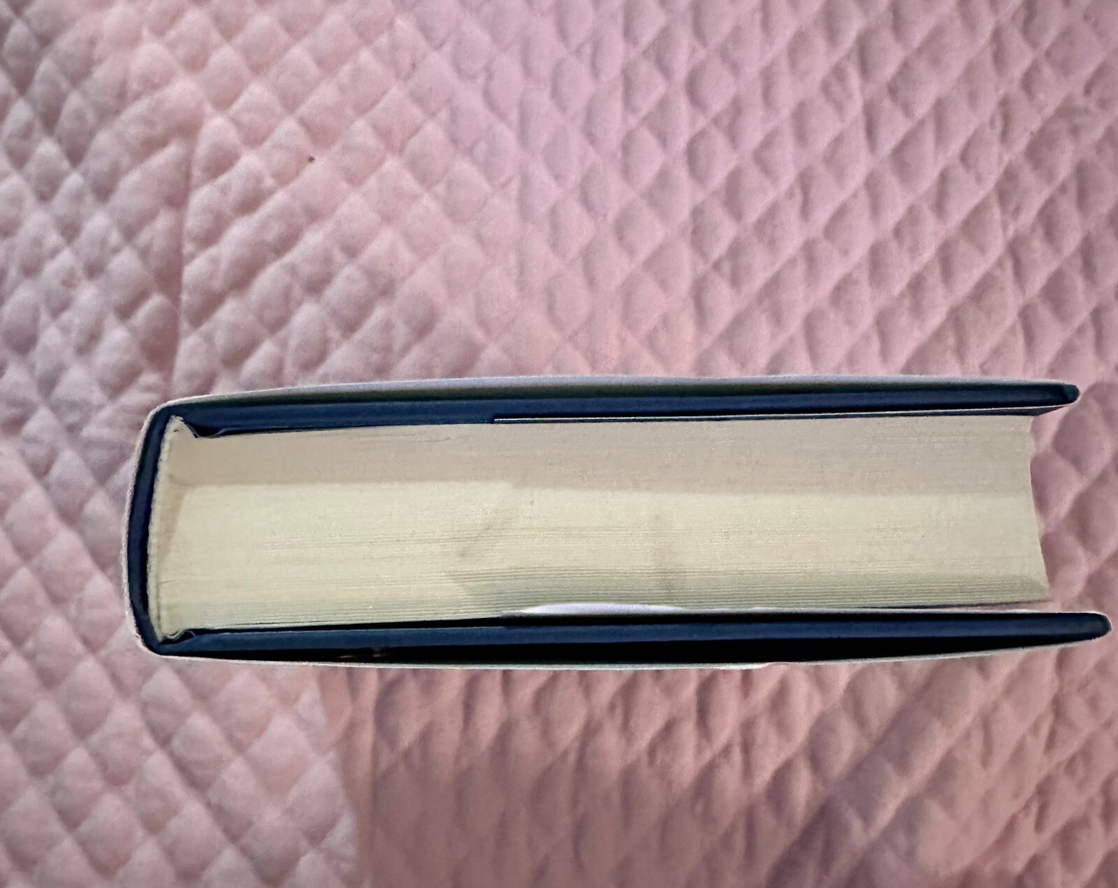 Drizzle%2C+Dreams%2C+and+Lovestruck+Things+by+Maya+Prasad+%282022%2C ...