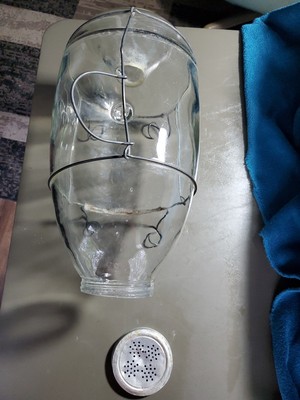 EARLY Vintage Glass Minnow Trap - Large Unbranded COMPLETE TRAP | eBay