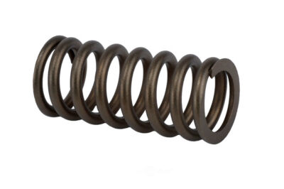 Engine Valve Spring | eBay
