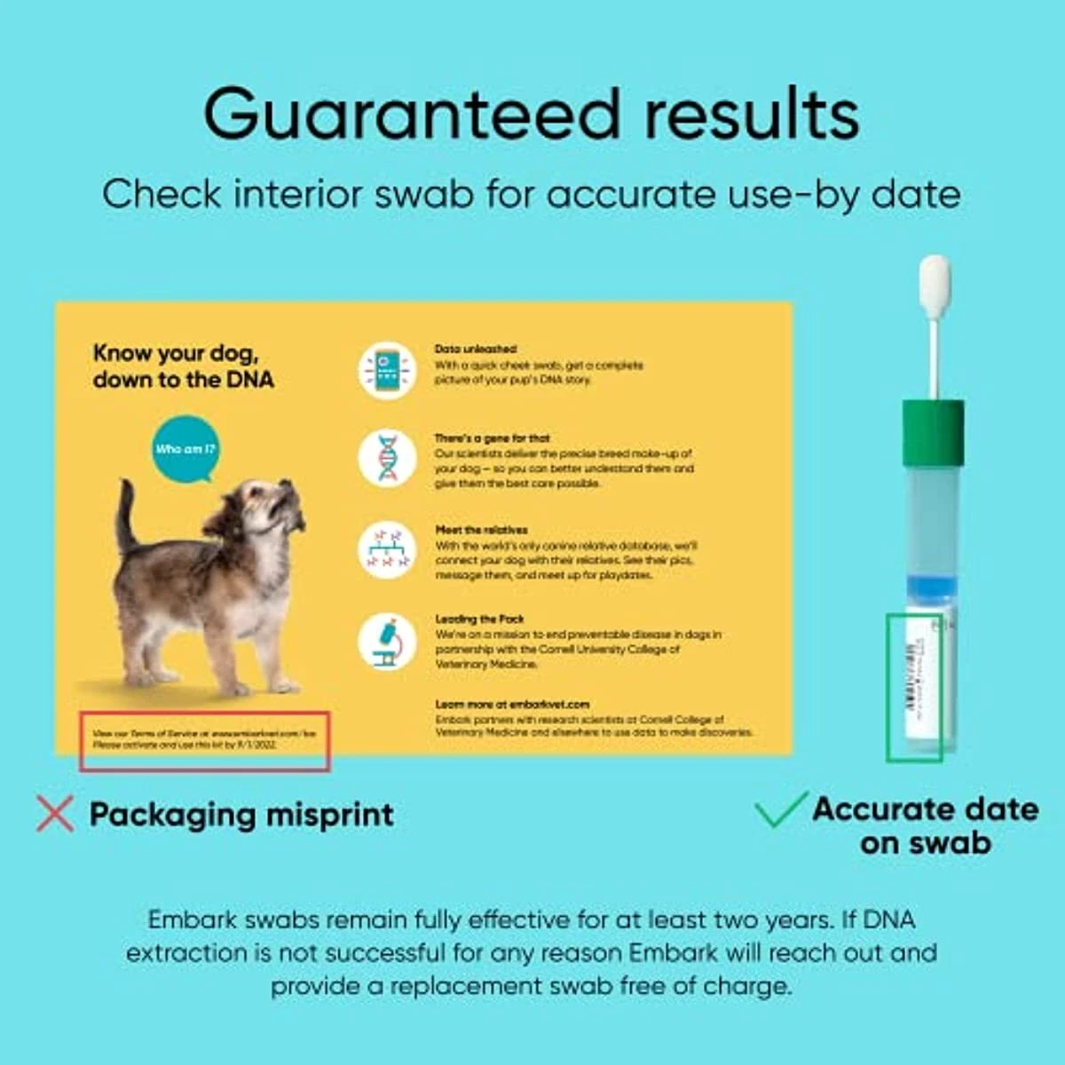 How Many Different Dog Breeds Does Embark Test Against