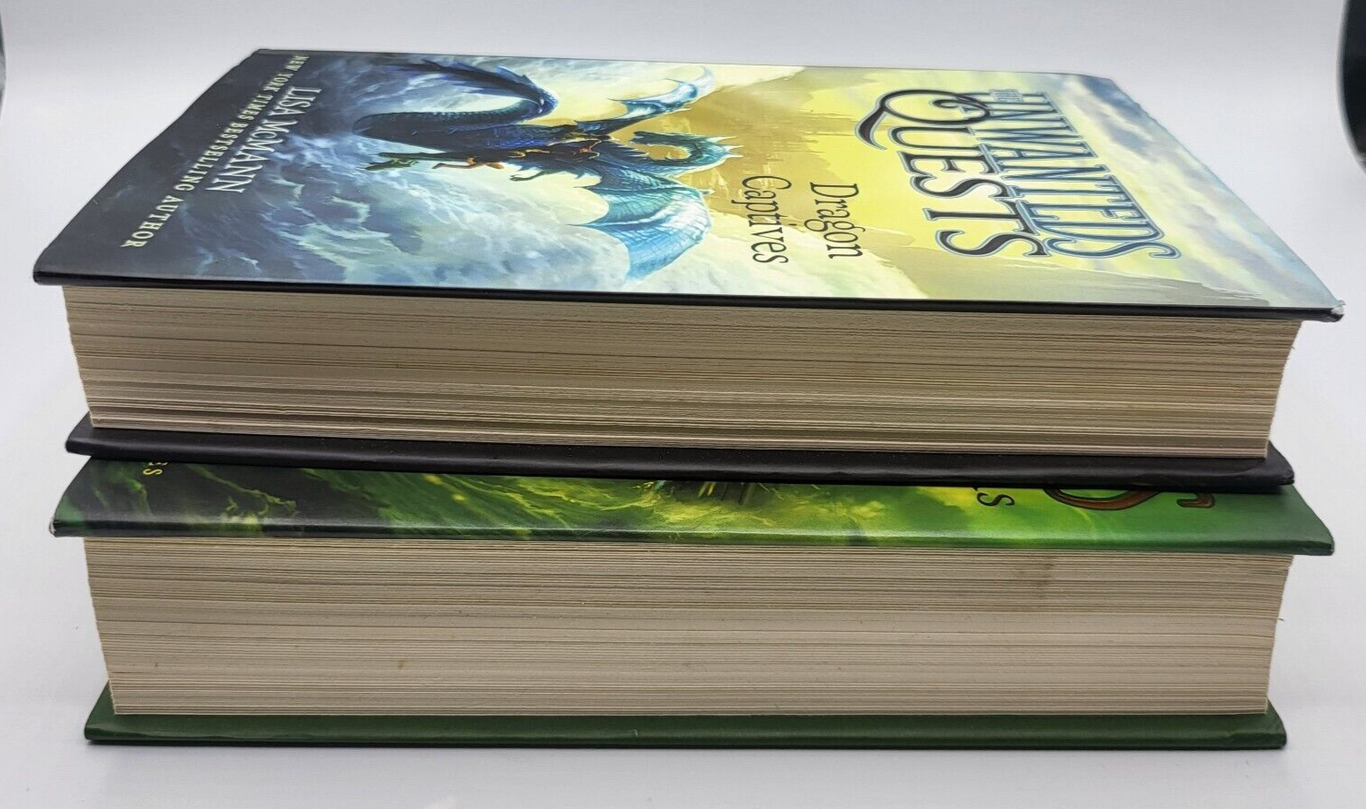 The Unwanteds & Unwanted Quest DRAGON CAPTIVES & ISLANDS OF DRAGONS ...