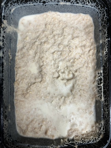 Microworm Starter Culture - Easy Live Food for Fry, Nano Fish, Guppy ...