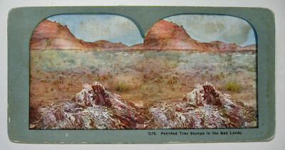 1900 era "Petrified Tree Stumps in the Badlands" Stereo View | eBay