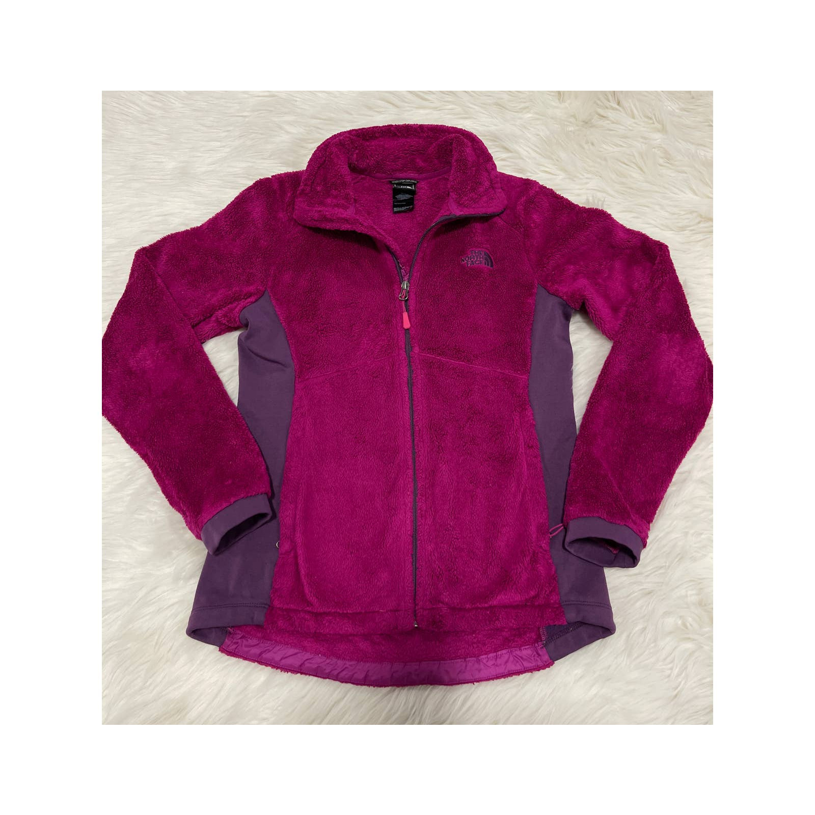 The North Face Tech Osito Fleece Silken Jacket Full Z… - Gem