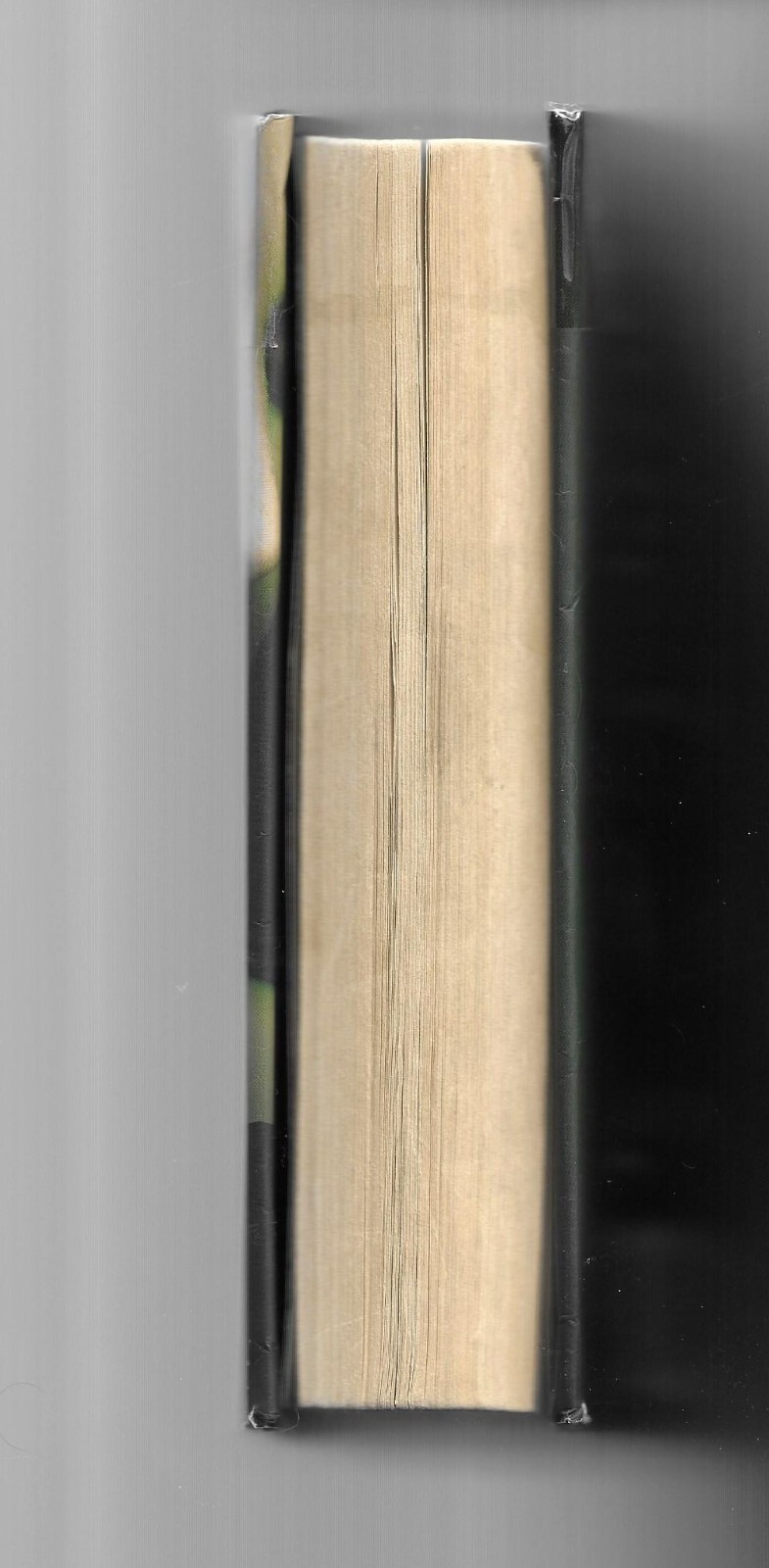 BLOOD PROMISE: A VAMPIRE ACADEMY, NOVEL BY RICHELLE MEAD, 2009 ...