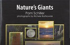 Natures Giants, Frog Street Press Big Book - Paperback - ACCEPTABLE | eBay