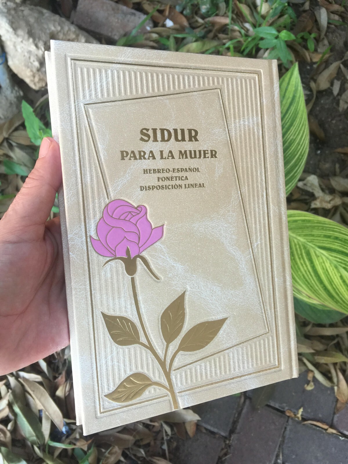 Sidur Para La Mujer Book Español Fonética Women Siddur Hebrew Spanish ...