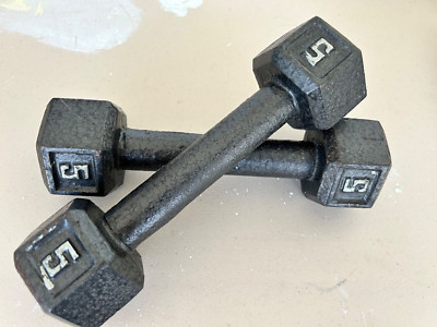 Pair Gray Barbell 5lb Cast Iron Hex Dumbbell, Barbell, Unisex Strength ...