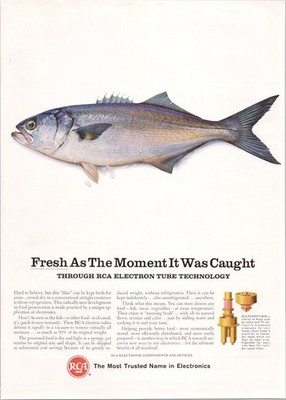 RCA 1965 Print Ad Fresh Fish Electron Tube Technology Vintage Original ...