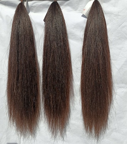 Brand New Dark Chestnut False Tail 60 cm Mini Pony Foal show AUST 150g ...