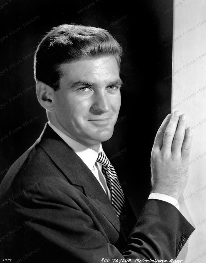 8x10 Print Rod Taylor Handsome Studio Portrait #RT822 | eBay