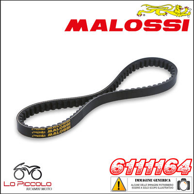 6111164 CINGHIA X K BELT MALOSSI DERBI PADDOCK 50 2T LC - DERBI ...