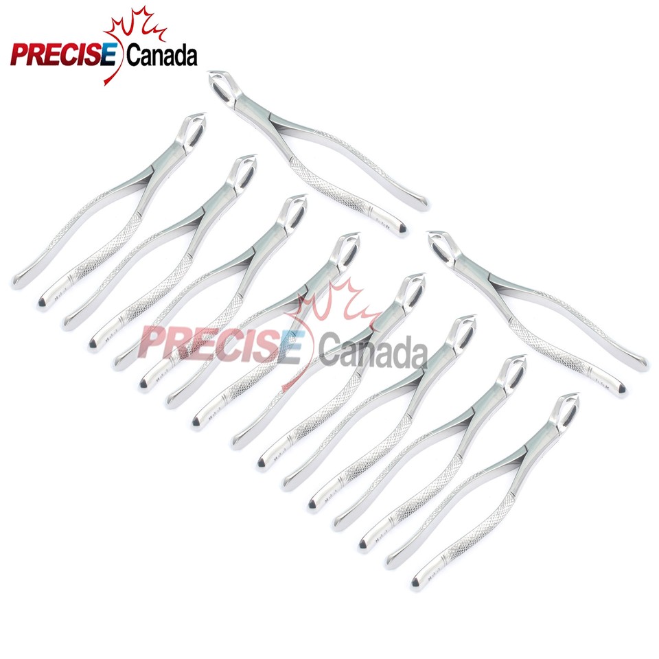 10Pc Set Tooth Dental Extracting Forceps #88R W/Serrated JAW Surgery ...