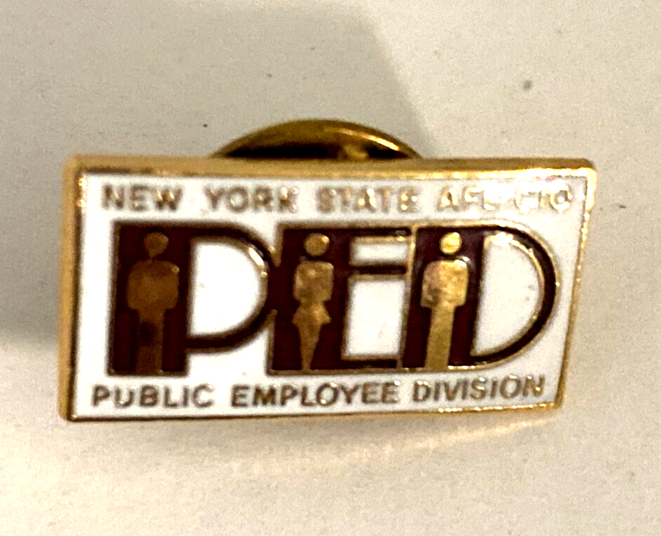 Vintage NYS Public Employee Div. Lapel Pin (K1) | eBay