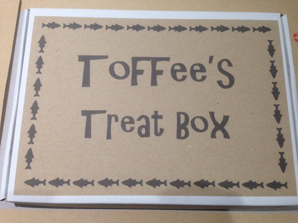 Personalised Cat Treat Box Birthday Christmas Thank You Gift Stocking ...