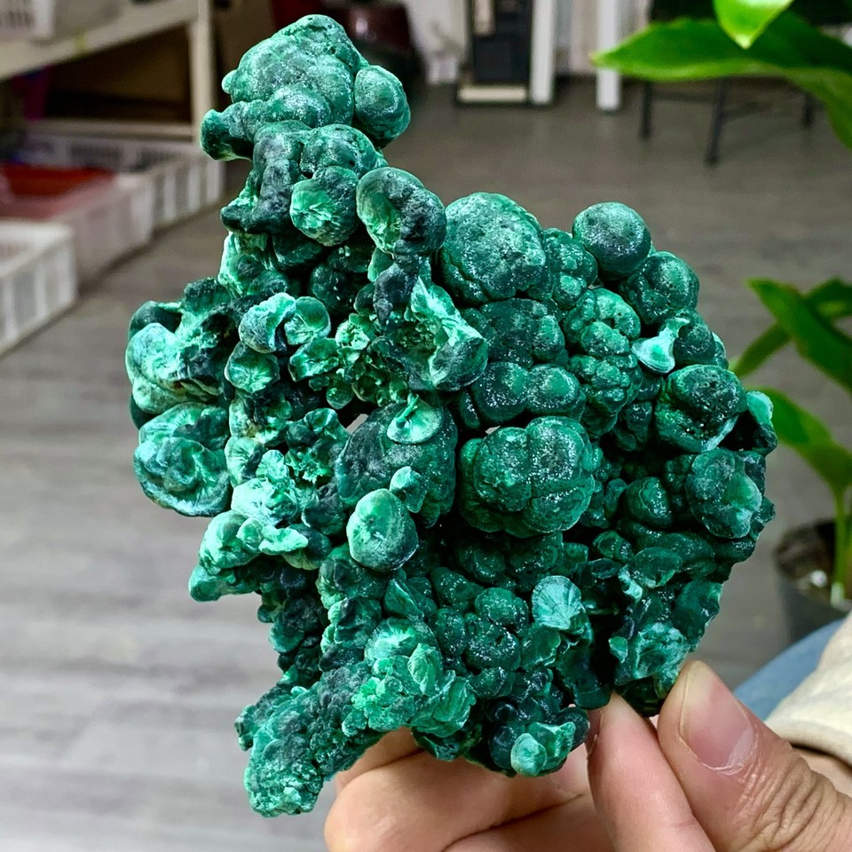 480G Natural glossy Malachite transparent cluster rough mineral sample ...