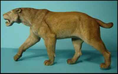 HOMOTHERIUM SABER TOOTH CAT PREHISTORIC MAMMAL MODEL KIT | eBay