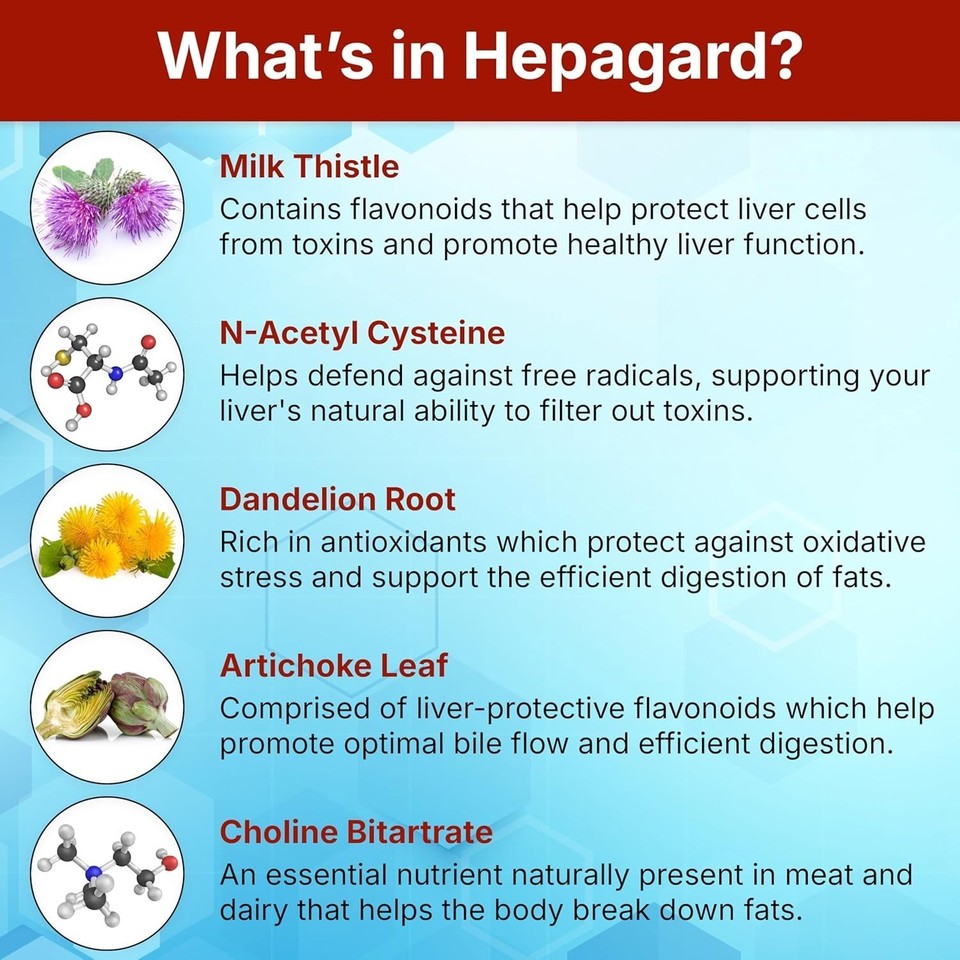 Nutreance Hepagard - Natural Liver Support with N-Acetyl Cysteine (NAC ...