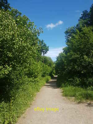 Photo 6x4 Bridleway through Little Wittenham Wood Bridge End c2020 | eBay