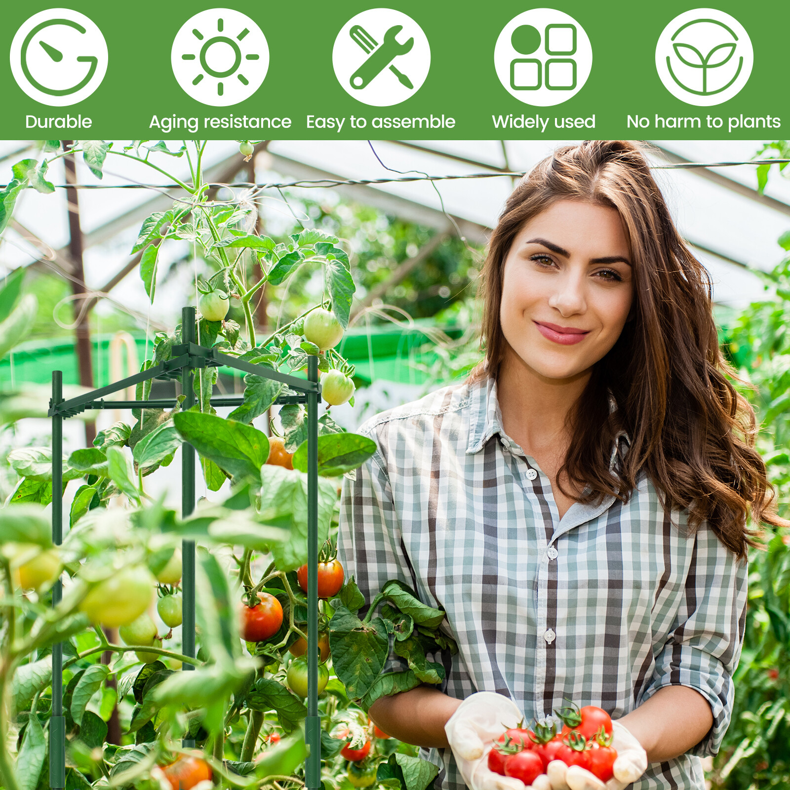 Tomato Cage Garden Tomatoes Trellis Robust Tomato Plant Cage Stakes ...