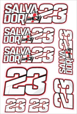 Luca Salvadori 23 moto adesivo stickers MOTOGP adesivi DUCATI | eBay