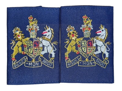 RAF WARRANT OFFICER EMBROIDERED RANK SLIDES, PAIR, RAF WO | eBay