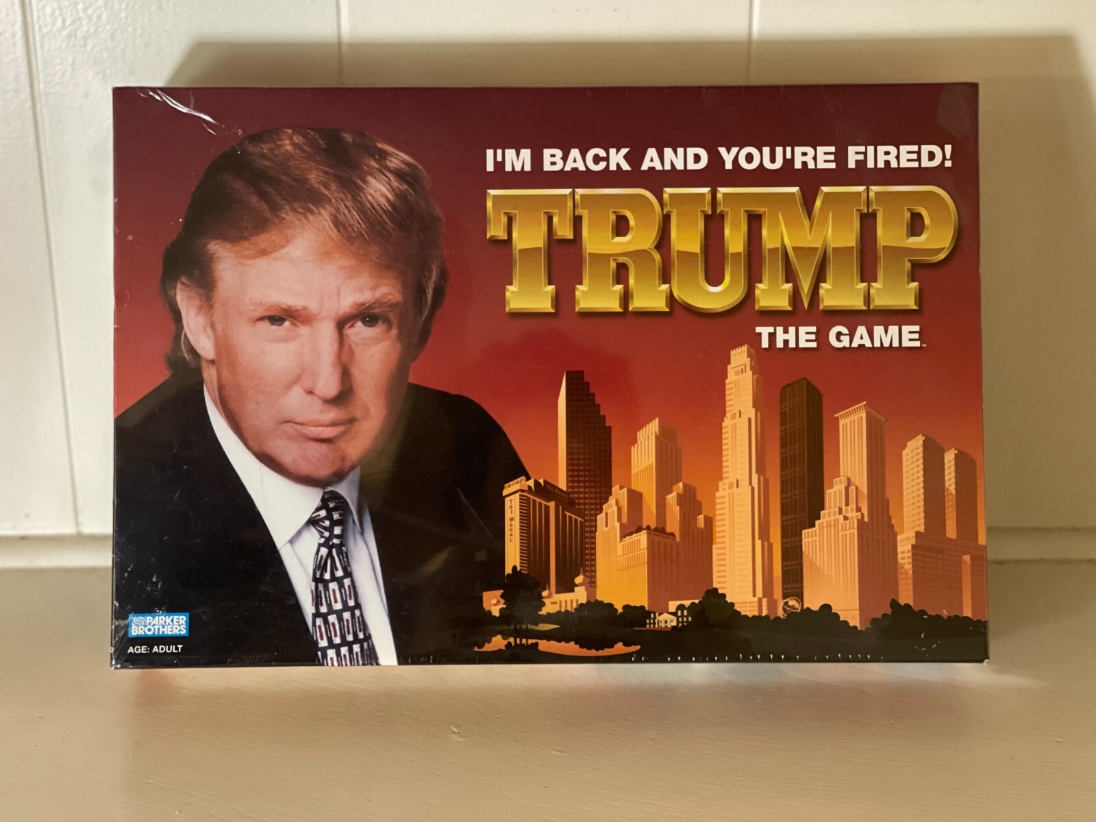 You Are Fired Donald Trump