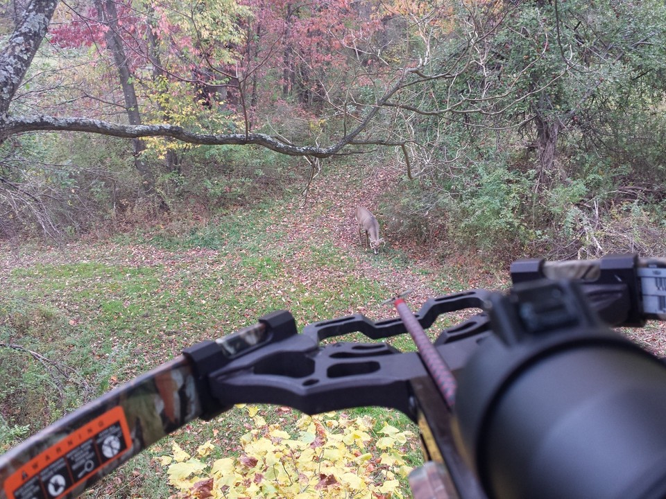 GAME STICK- Cell Phone Camera Mount ANY PHONE TO ANY WEAPON | eBay