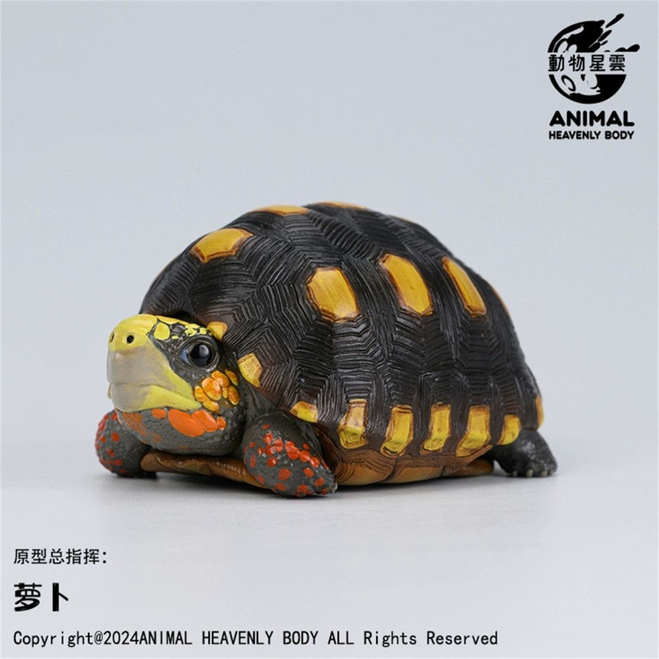 ANIMAL HEAVENLY BODY Angonoka Tortoise Figure Chelydridae Turtle Blind ...
