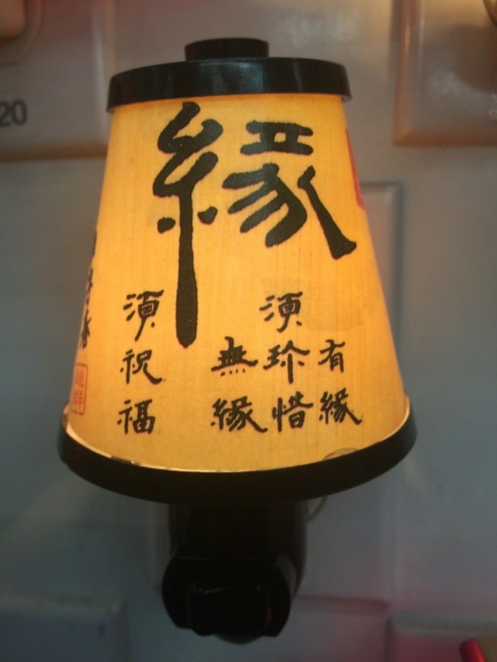 Chinese Characters Oriental Wall Plug-in night light lamp home decor ...