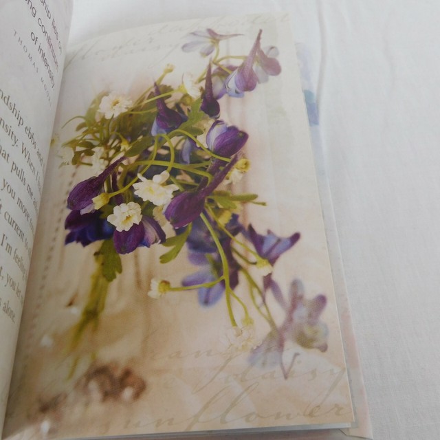 Fresh-Cut Flowers : For a Friend- Repackage by Dianna Booher (2002 ...