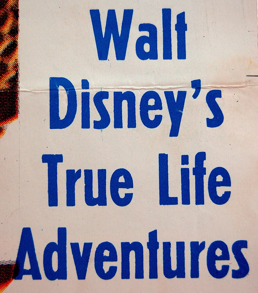 1975 Israel DISNEY Movie FILM POSTER Hebrew TRUE LIFE ADVENTURES Jewish ...